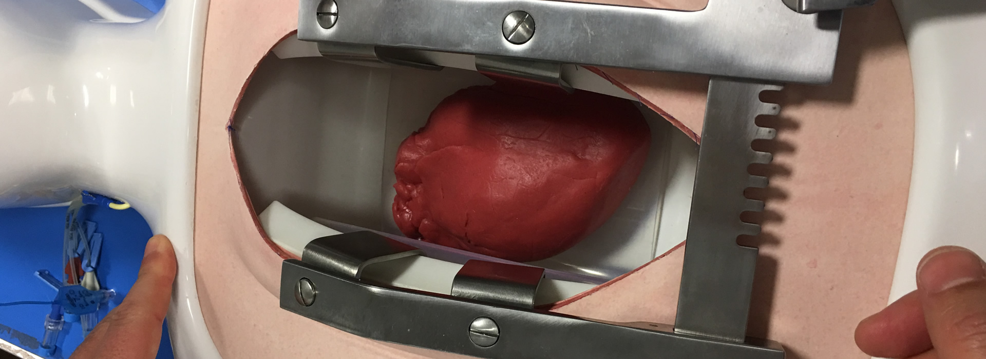 Surgical Skills Trainer – SPRinT Simulation